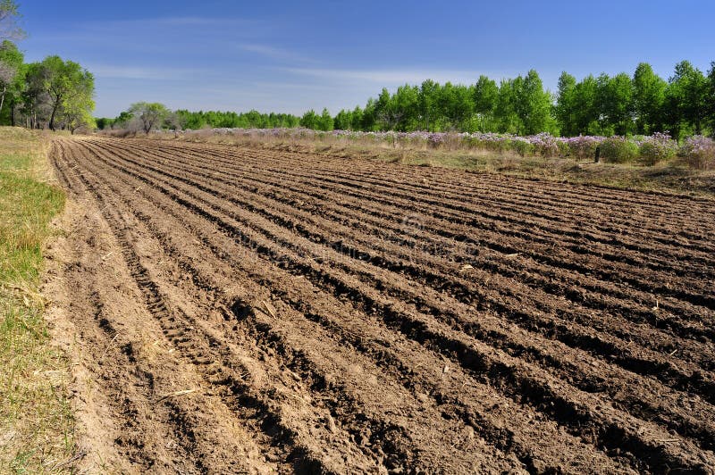 Cultivated Land And Ridges Sets Stock Photo - Image: 25302866