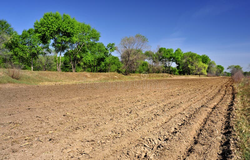 Cultivated Land and Ridges Sets Stock Image - Image of neat, protect ...