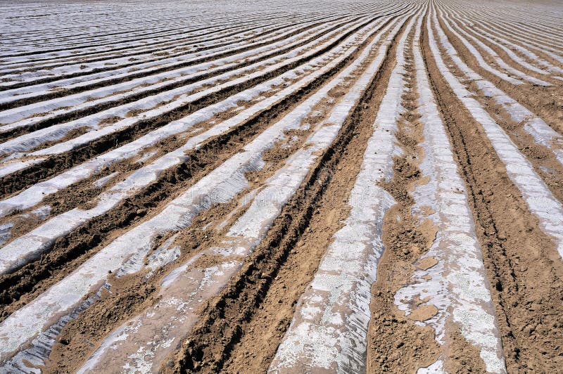 Cultivated Land and Ridges Sets Stock Image - Image of nature, lung ...