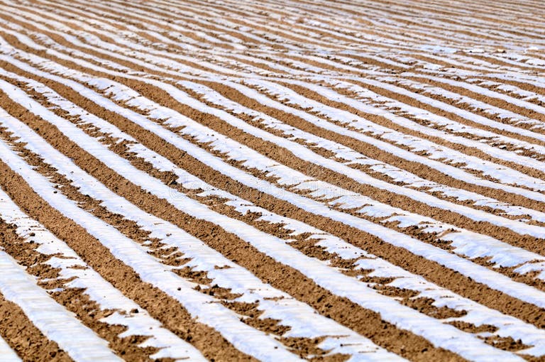 Cultivated Land and Ridges Sets Stock Photo - Image of farmers, arable ...