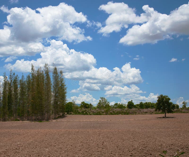 Cultivated land stock image. Image of nature, crops, land - 32328719