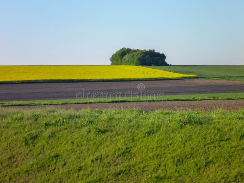 Cultivated Landscape with Green Fields Stock Image - Image of lawn ...