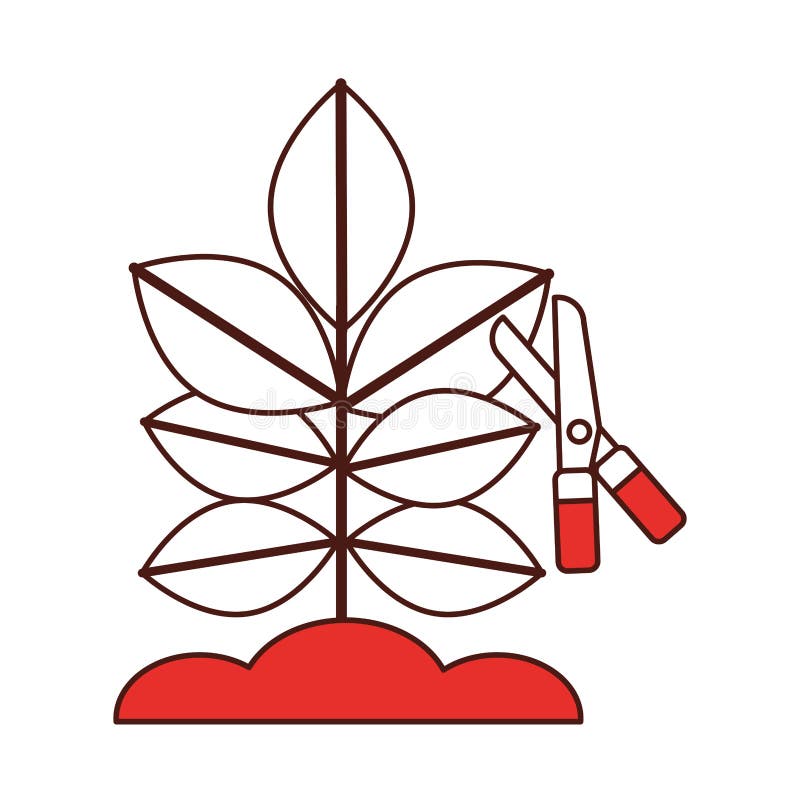 Cultivated Plant with Scissors Stock Vector - Illustration of scissors ...