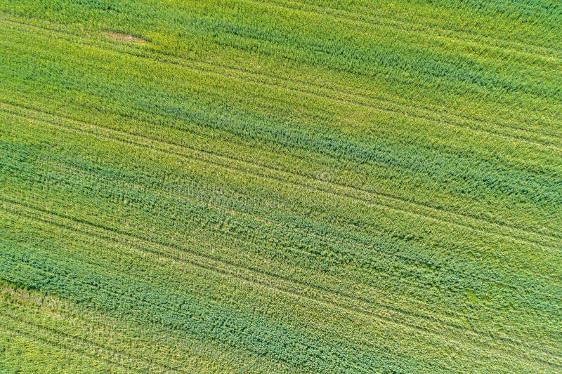 Cultivated Seed Fields from Above, Geometric Pattern of Crops Rural ...