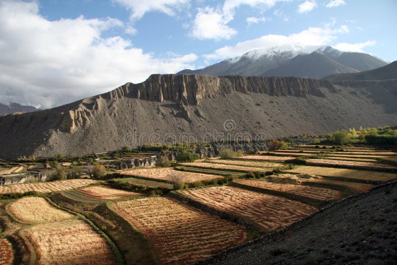 Village in Afghanistan stock image. Image of province - 19561911