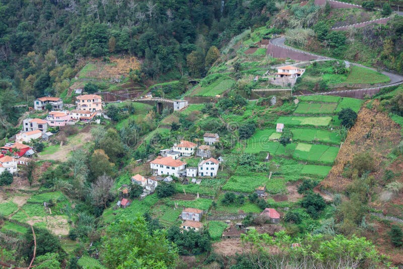 Cultivated Terraced Fields on the Cliff Top on the Island of Madeira ...