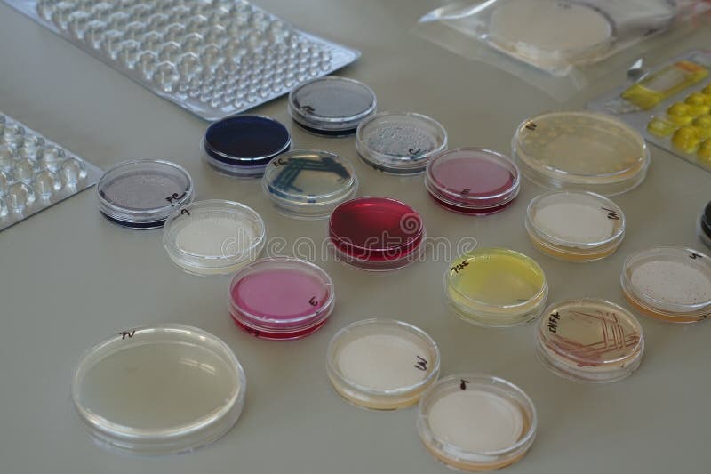 WWTP laboratory 8 stock photo. Image of laboratory, environment - 276281332