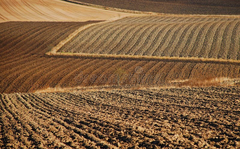 Cultivation fields in fall stock image. Image of field - 3500739