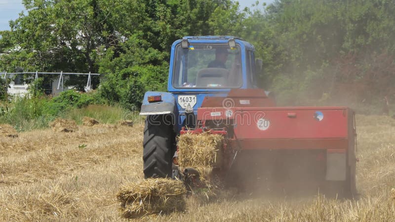 Cultivation of Straw in the Field with the Help of a Tractor ...