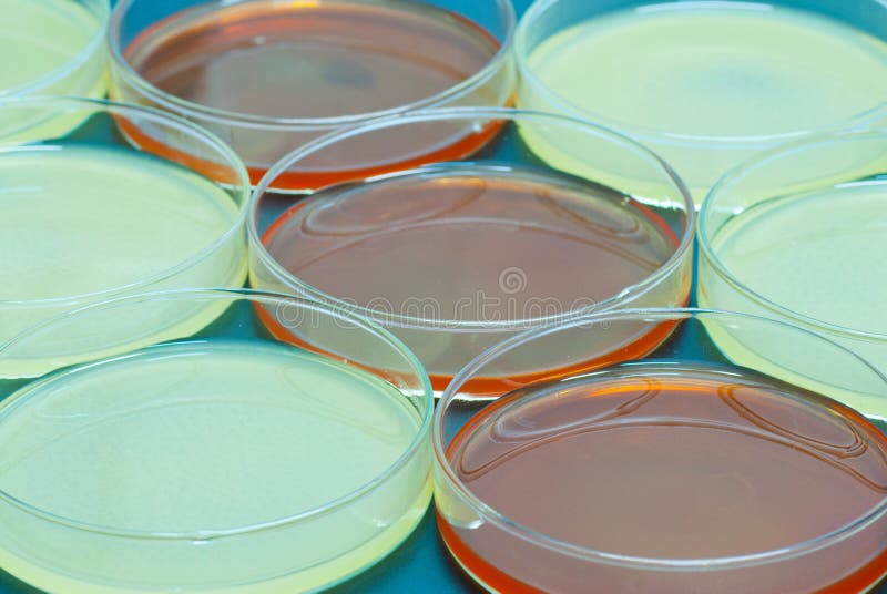 Culture medium stock photo. Image of petri, test, microbiology - 20458956
