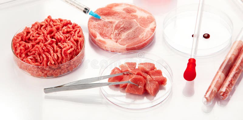 Cultured Meat in Laboratory Stock Photo - Image of clean, science ...