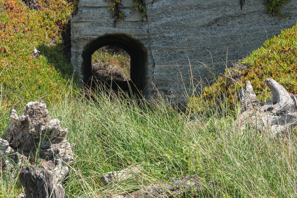 Culvert Carved through the Stone Stock Image - Image of intricate ...