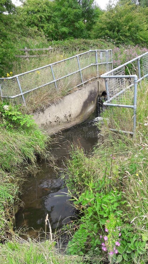 319 River Rother Photos - Free & Royalty-Free Stock Photos from Dreamstime