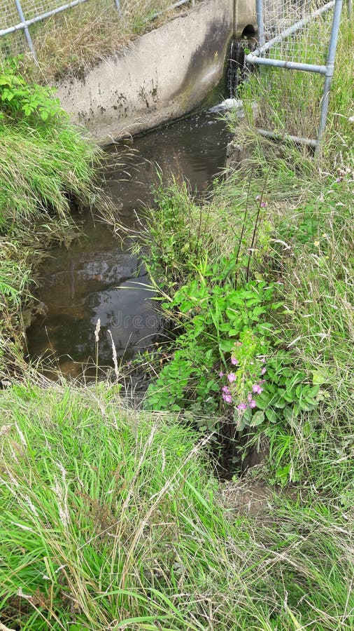 Draining Wetland For Agriculture Stock Image - Image of water, purposes ...