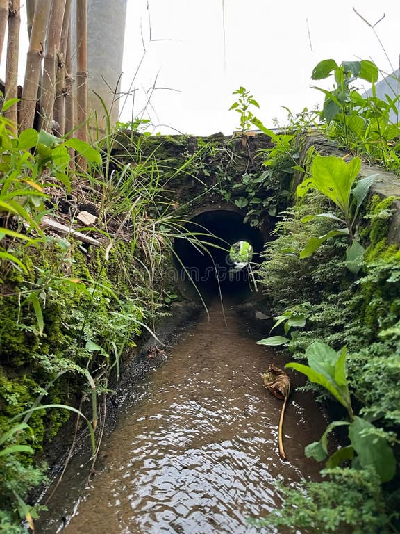 Culvert stock image. Image of culvert, leaf, stream - 359992633