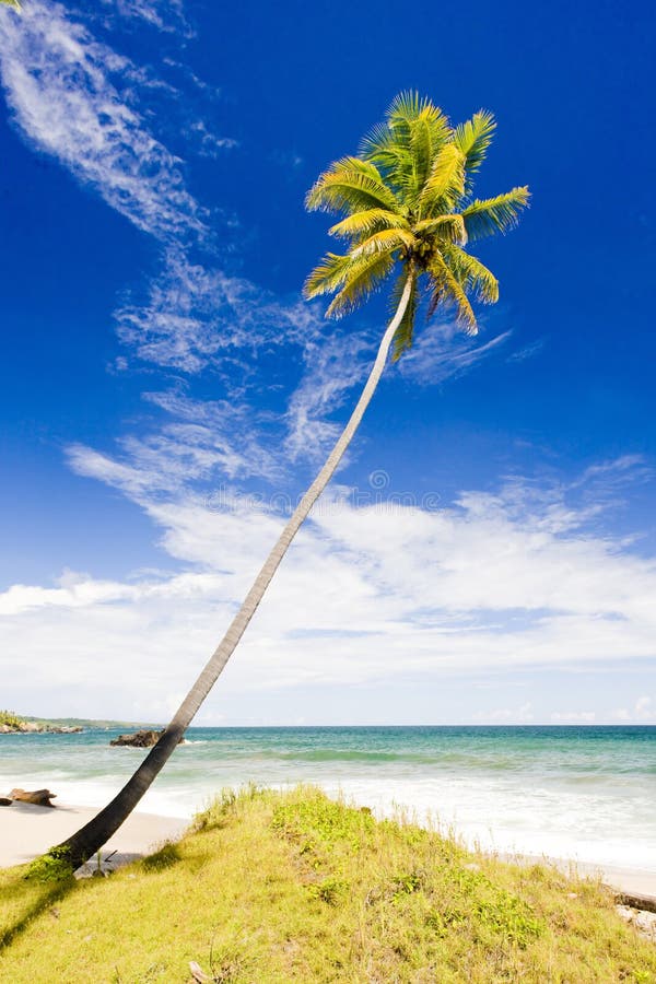 Cumana Bay, Trinidad stock photo. Image of coastal, greater - 153650588