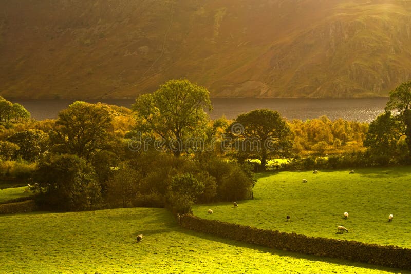 Cumbrian valley stock image. Image of green, warm, lake - 3320325