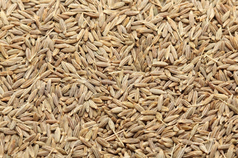 Cumin stock photo. Image of texture, curry, seasoning - 10044676