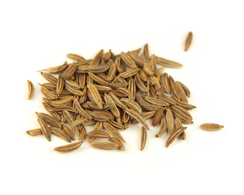 Cumin stock image. Image of caraway, beautiful, fragrant - 11996377