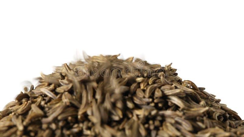 Cumin or Caraway Seeds Falling and Piling Up Isolated on White Stock ...