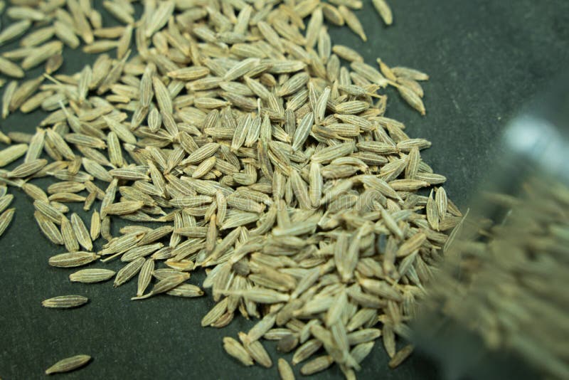 Cumin is an Essential Ingredient for Cooking. Stock Image - Image of ...