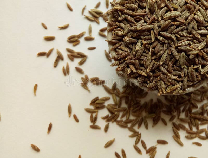 Cumin stock photo. Image of jira, heap, seasoning, aromatic - 98786716