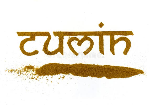 Cumin stock photo. Image of spice, fresh, yellow, powder - 33032618