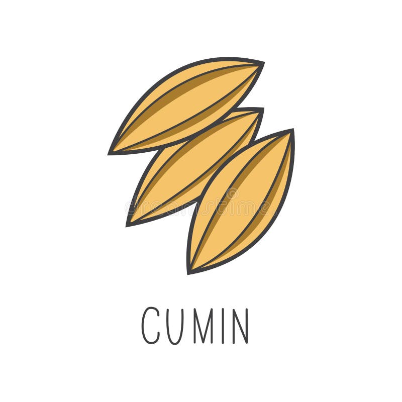 Cumin Icon Stock Illustrations – 598 Cumin Icon Stock Illustrations ...