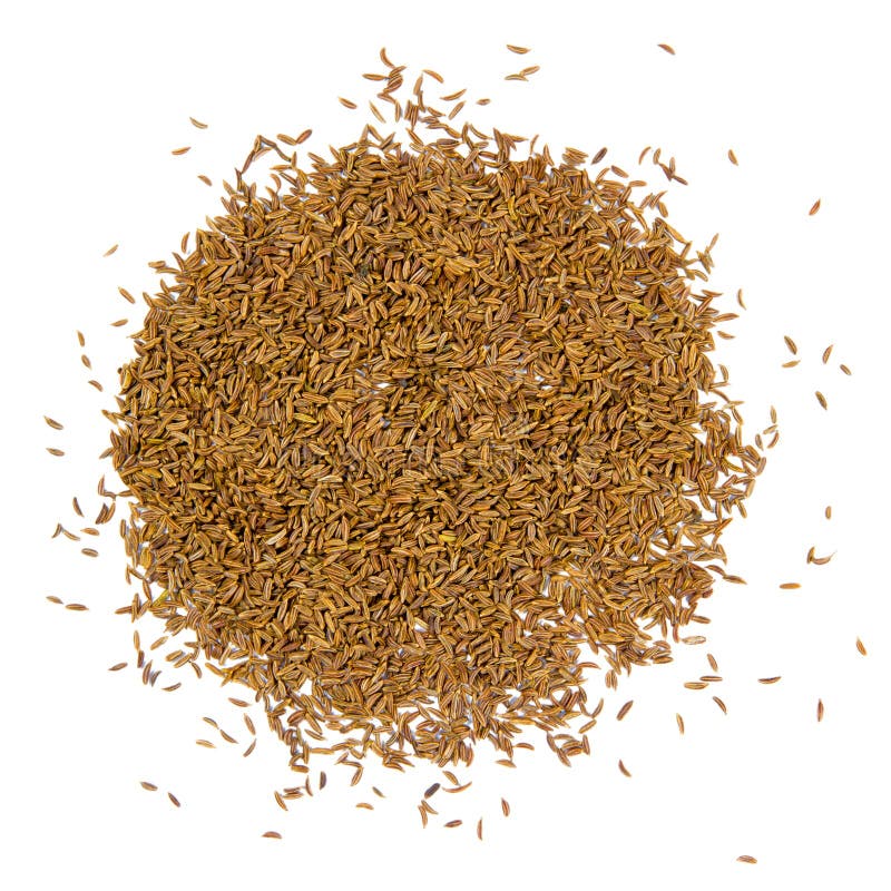 Cumin stock photo. Image of aroma, culinary, delicious - 42235952