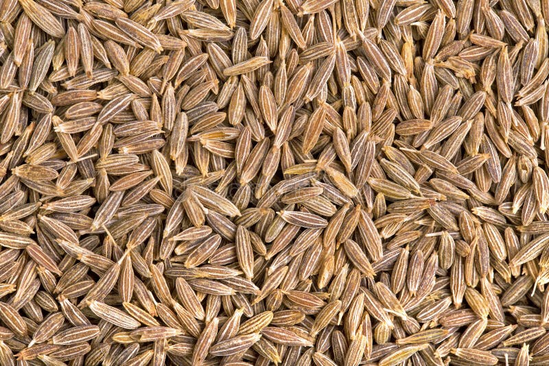 Cumin seed background stock photo. Image of nature, grain - 179623142