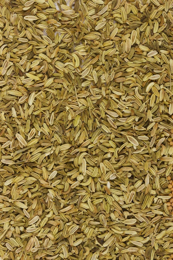 Cumin stock photo. Image of natural, indian, orange, abstract - 23348896