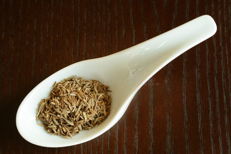 Tharka Dhal stock photo. Image of traditional, indian - 2335374