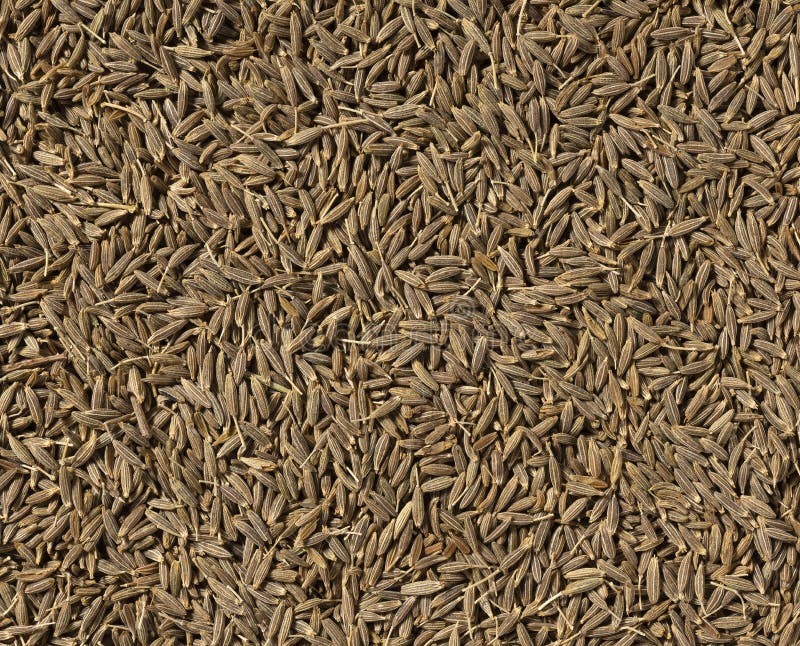 Cumin Seeds As a Background. or Texture Stock Photo - Image of grain ...