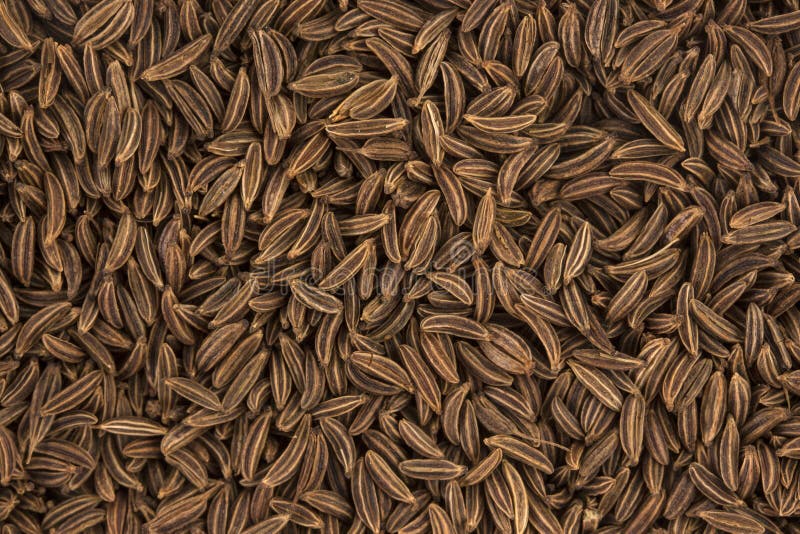 Cumin Seeds Background or Texture Stock Photo - Image of cook, aroma ...