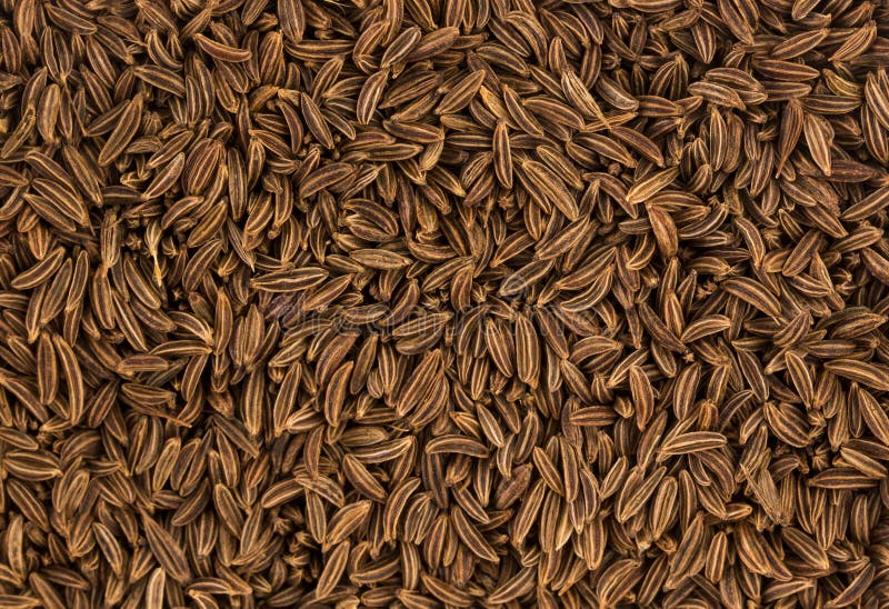 Cumin Seeds Background or Texture Stock Photo - Image of grain, food ...