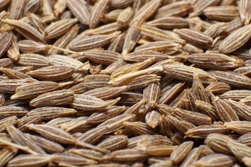Drop Cumin Seed Stock Photos - Free & Royalty-Free Stock Photos from ...