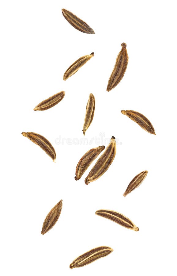 Cumin Seeds Isolated on White Background Stock Illustration ...