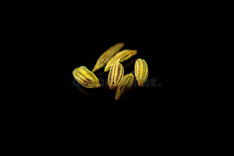 Cumin Seeds Macro Photography Stock Image - Image of background, cumin ...