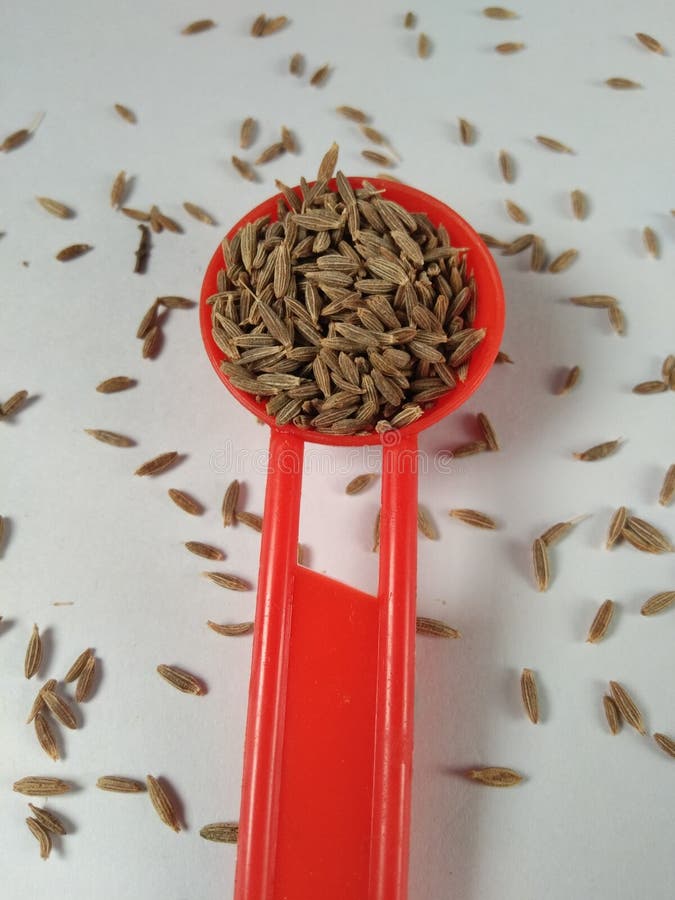 Cumin Seeds with White Background Stock Image - Image of meal, produce ...
