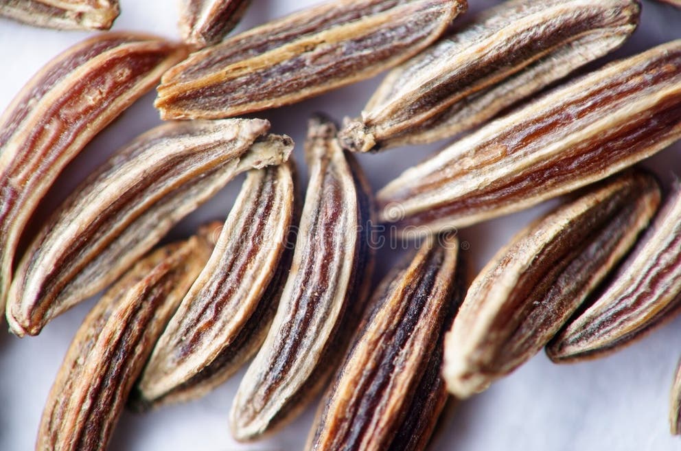 Cumin Seeds Reverse Lens Extreme Macro Stock Photo - Image of close ...