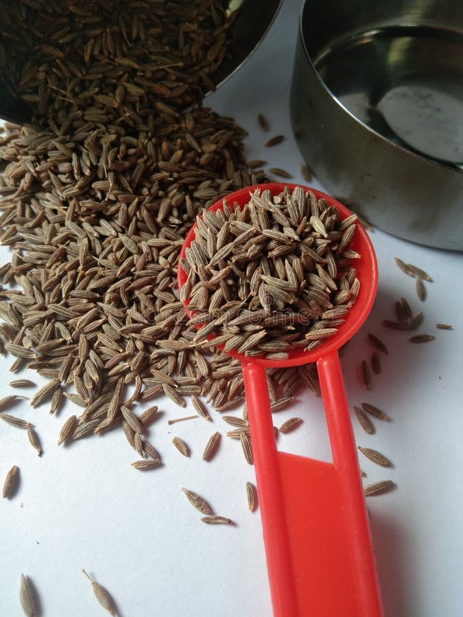 Cumin Seeds with White Background Stock Image - Image of produce, fruit ...