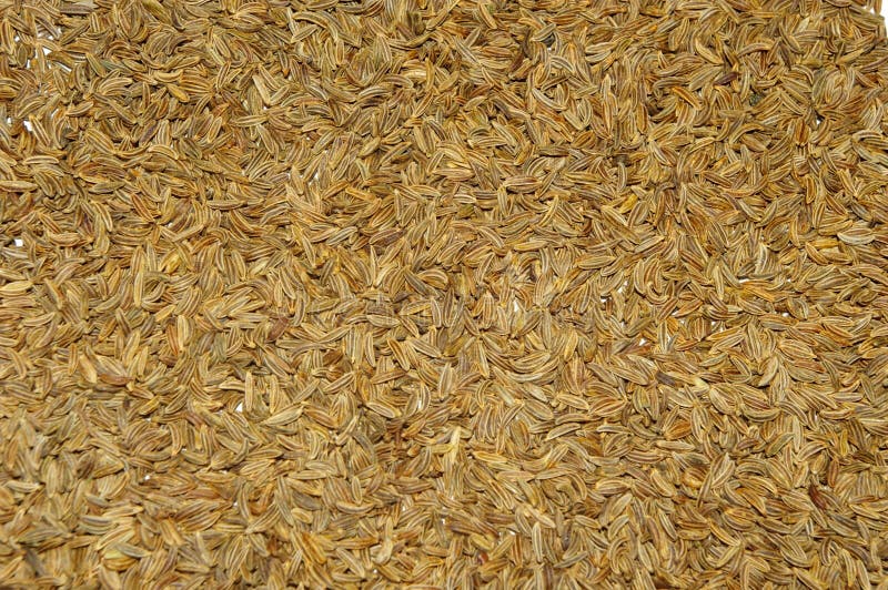 Cumin stock image. Image of eating, close, culinary, beautiful - 50378175