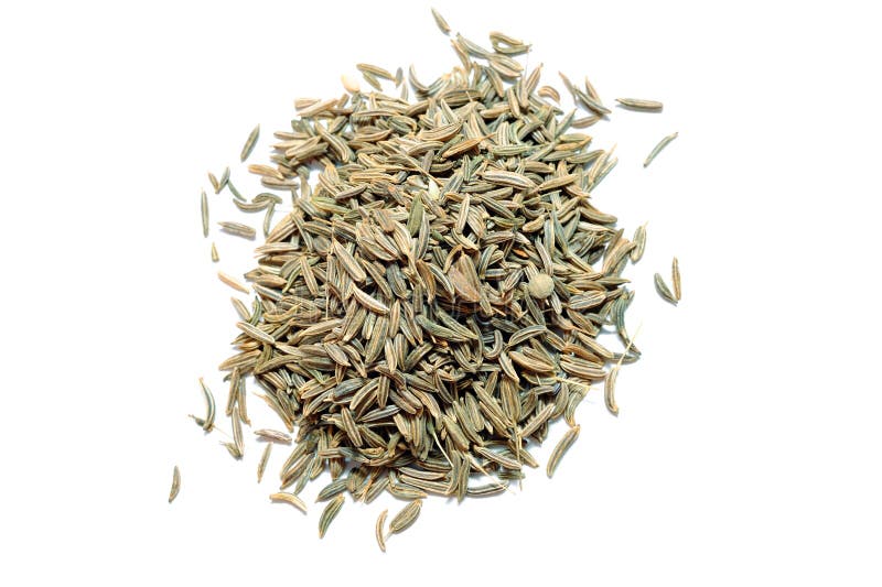 Cumino fotografia stock. Immagine di organico, secco - 18047176