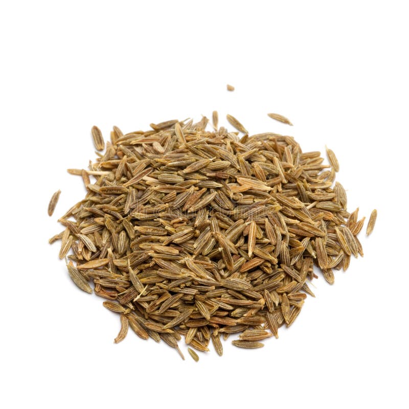 Cumino fresco immagine stock. Immagine di condimento - 17124345