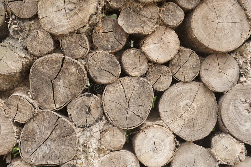 Cumulate round log stock image. Image of rough, wood - 27498161