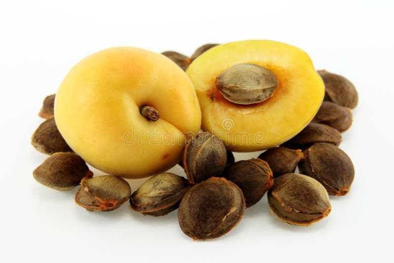 Cumulated apricot pits stock photo. Image of close, food - 6755006