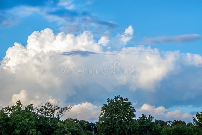 Cumulous over Tree Line stock photo. Image of treeline - 224082682
