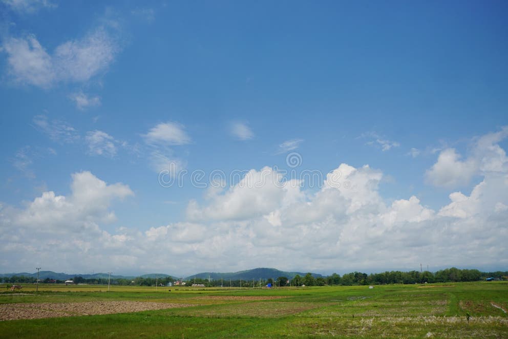 Cumulus Clouds Above the Fields on a Clear Day. Clouds with Vertical ...