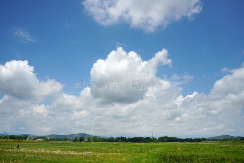 Cumulus Clouds Above the Fields on a Clear Day. Clouds with Vertical ...