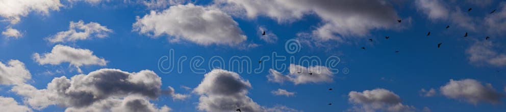 Cumulus clouds stock image. Image of horizontal, heaven - 43020575